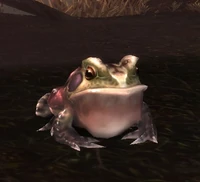 Swamp Toad - Wowpedia - Your wiki guide to the World of Warcraft