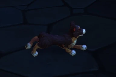 Drake (dog) - Wowpedia - Your wiki guide to the World of Warcraft