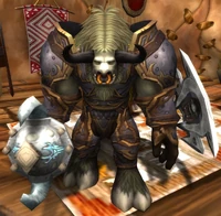 Sunwalker Reha - Wowpedia - Your wiki guide to the World of Warcraft