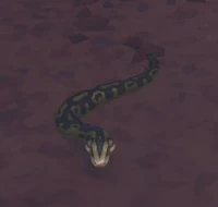 Pit Snake - Wowpedia - Your wiki guide to the World of Warcraft