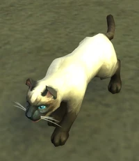 Funafuti - Wowpedia - Your wiki guide to the World of Warcraft