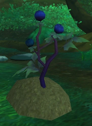 Dreamberry - Wowpedia - Your wiki guide to the World of Warcraft