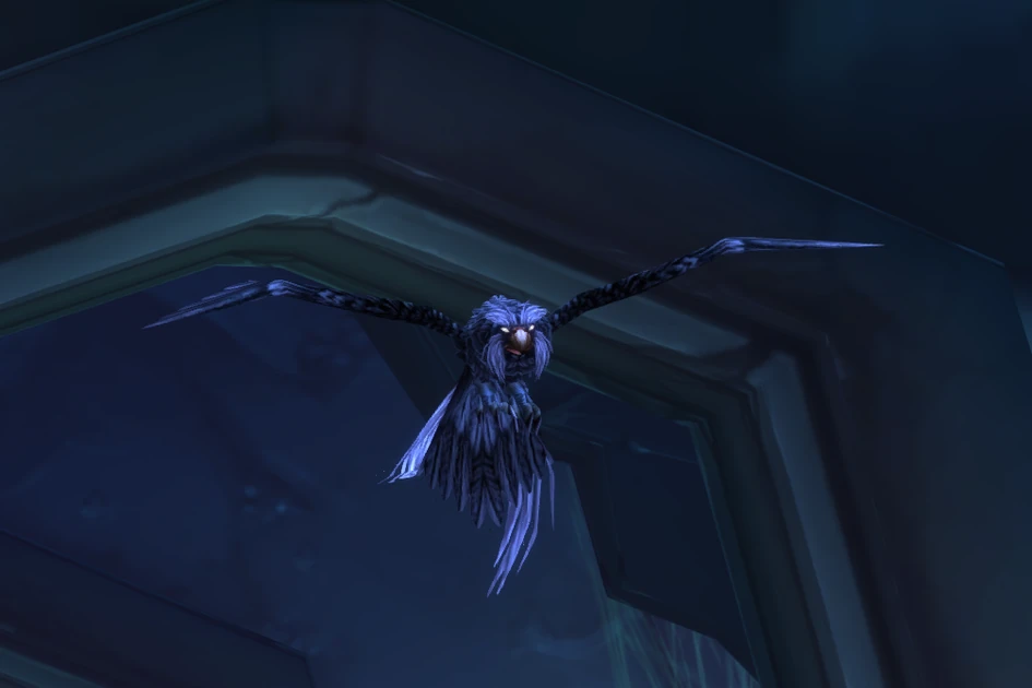 Avian Flyer - Wowpedia - Your wiki guide to the World of Warcraft