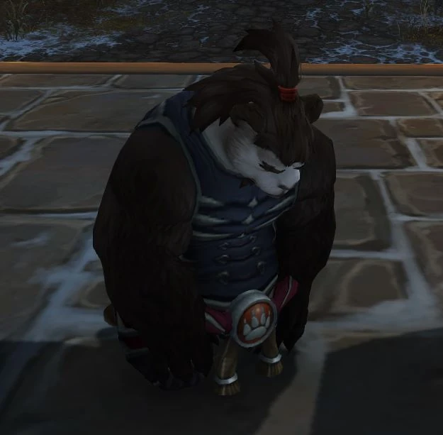 Shado-Pan Warrior - Wowpedia - Your wiki guide to the World of Warcraft