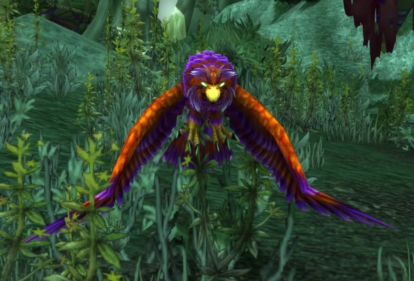 Skettis Kaliri - Wowpedia - Your wiki guide to the World of Warcraft