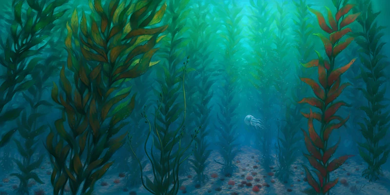 Cataclysm Expansion Features/Vashj'ir - Wowpedia - Your wiki guide to ...