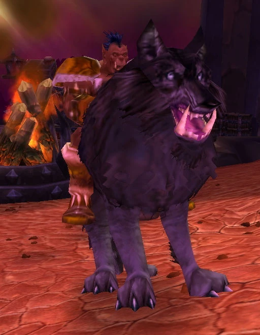 Mag'har Hunter - Wowpedia - Your wiki guide to the World of Warcraft