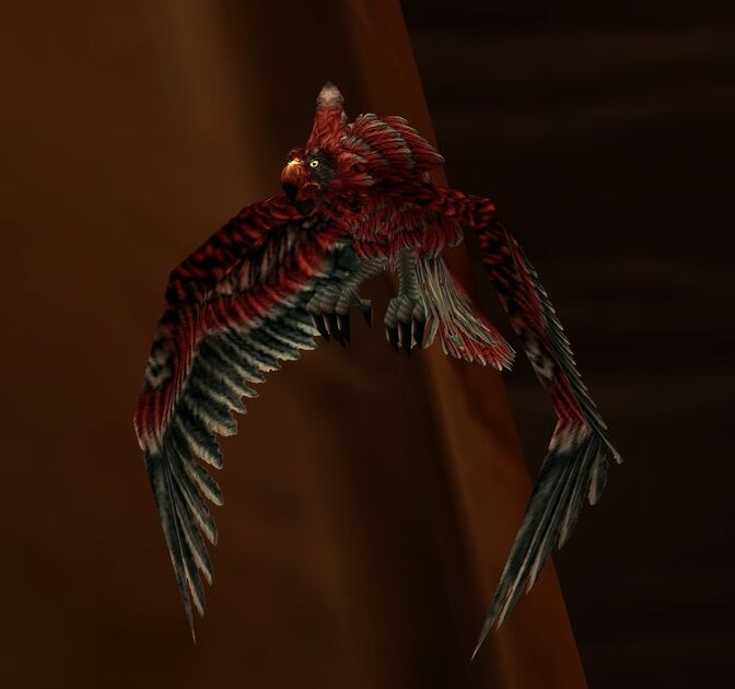 Southsea Parrot Wowpedia Your Wiki Guide To The World Of Warcraft