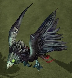 Hawk - Wowpedia - Your wiki guide to the World of Warcraft