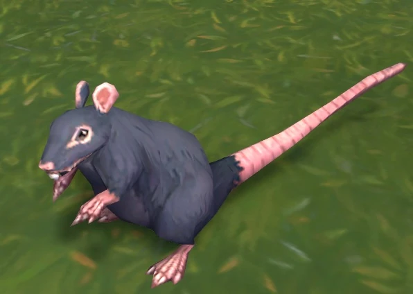 Bilge Rat - Wowpedia - Your wiki guide to the World of Warcraft