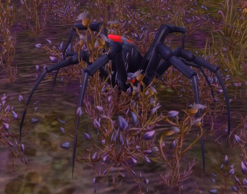 Vicious Night Web Spider Wowpedia Your Wiki Guide To The World Of