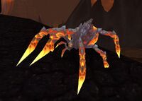 Solix - Wowpedia - Your wiki guide to the World of Warcraft