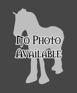 Somber Dawn - Wowpedia - Your wiki guide to the World of Warcraft