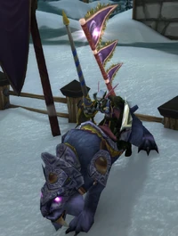 Darnassus Champion - Wowpedia - Your wiki guide to the World of Warcraft