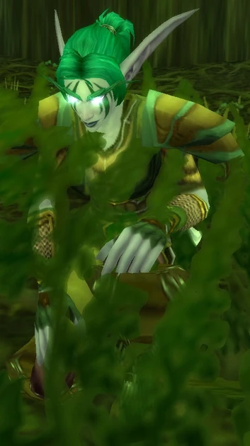 Kindal Moonweaver - Wowpedia - Your wiki guide to the World of Warcraft