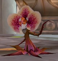 Ravenous Creeper - Wowpedia - Your wiki guide to the World of Warcraft