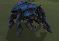 Amethyst Scarab - Wowpedia - Your wiki guide to the World of Warcraft