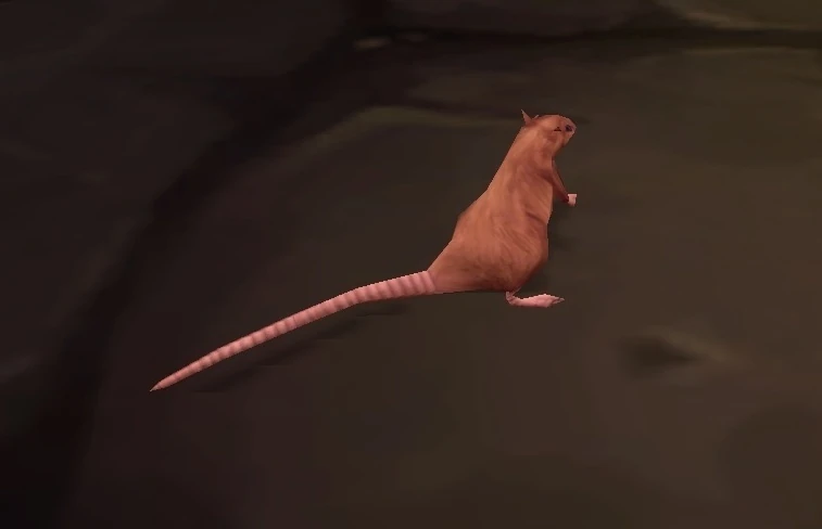 Undercity Rat - Wowpedia - Your wiki guide to the World of Warcraft