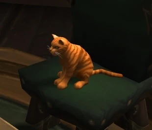Tiny (cat) - Wowpedia - Your wiki guide to the World of Warcraft