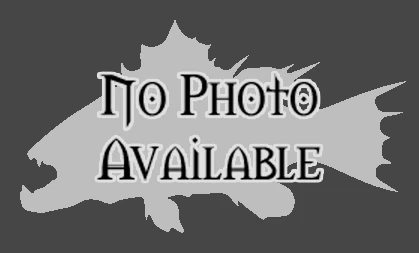 Flipper Fish - Wowpedia - Your wiki guide to the World of Warcraft