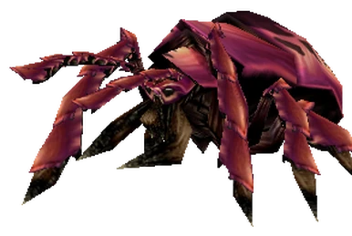 centipaar insect part