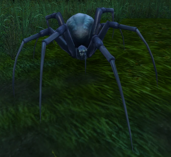 Venom Web Spider - Wowpedia - Your wiki guide to the World of Warcraft