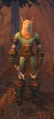 Ranger (NPC) - Wowpedia - Your wiki guide to the World of Warcraft