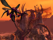 Aqir - Wowpedia - Your wiki guide to the World of Warcraft
