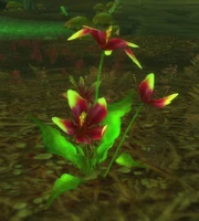 Cleansed Songflower - Wowpedia - Your wiki guide to the World of Warcraft
