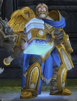 Uther Lightbringer Transmog