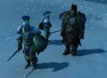 Stormwind Royal Guard - Wowpedia - Your wiki guide to the World of Warcraft