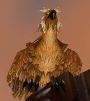 Falcon - Wowpedia - Your wiki guide to the World of Warcraft