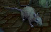 Giant Rat - Wowpedia - Your wiki guide to the World of Warcraft