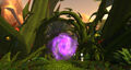 Everbloom - Wowpedia - Your wiki guide to the World of Warcraft
