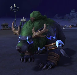 Wow Bear Form