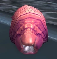 Rot Worm - Wowpedia - Your wiki guide to the World of Warcraft