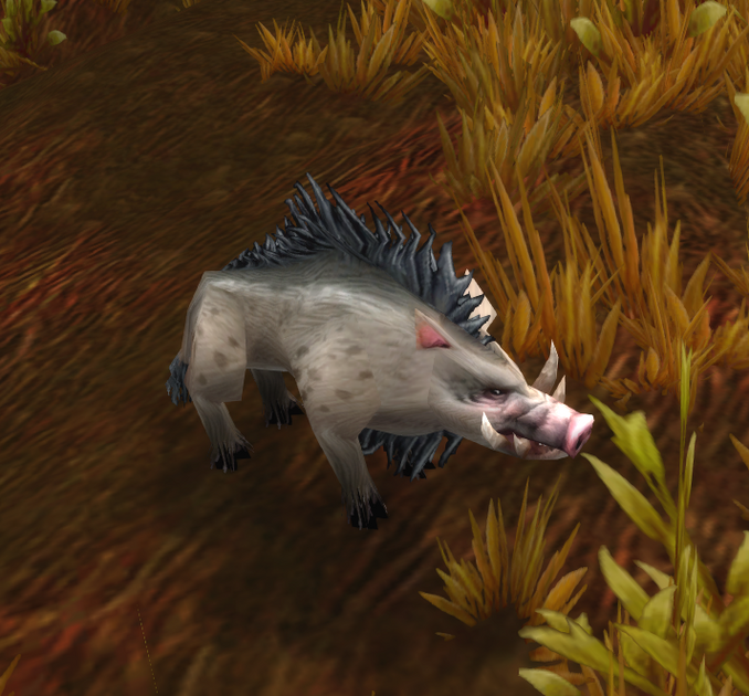 Imported Mottled Boar Wowpedia Your Wiki Guide To The World Of Warcraft