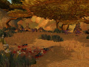 Barrens (Classic) - Wowpedia - Your wiki guide to the World of Warcraft