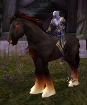 Executor Zygand - Wowpedia - Your wiki guide to the World of Warcraft