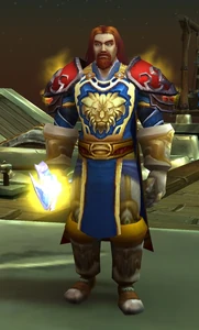 Skyguard Shield-Mage - Wowpedia - Your wiki guide to the World of Warcraft