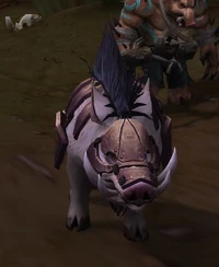 Battle Boar - Wowpedia - Your wiki guide to the World of Warcraft