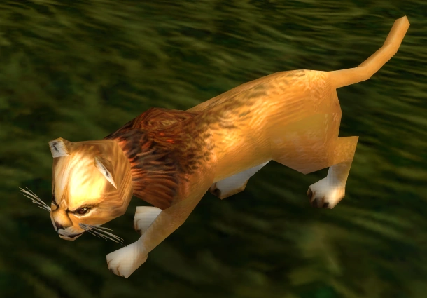 Araga's Cub - Wowpedia - Your wiki guide to the World of Warcraft