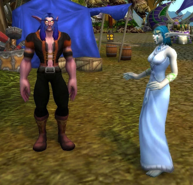 Darnassian Refugee - Wowpedia - Your wiki guide to the World of Warcraft