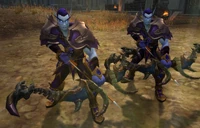 Ren'dorei Ranger - Wowpedia - Your wiki guide to the World of Warcraft