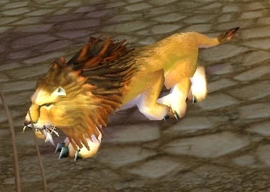 Koru (lion) - Wowpedia - Your wiki guide to the World of Warcraft