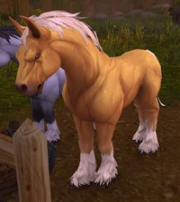 Arion (horse) - Wowpedia - Your wiki guide to the World of Warcraft