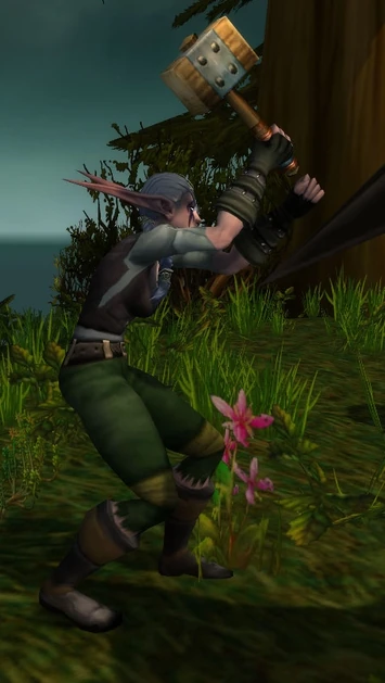 Field Engineer - Wowpedia - Your wiki guide to the World of Warcraft