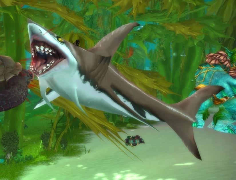 Frenzied Reef Shark - Wowpedia - Your wiki guide to the World of Warcraft