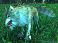 Gorefang (worg) - Wowpedia - Your wiki guide to the World of Warcraft