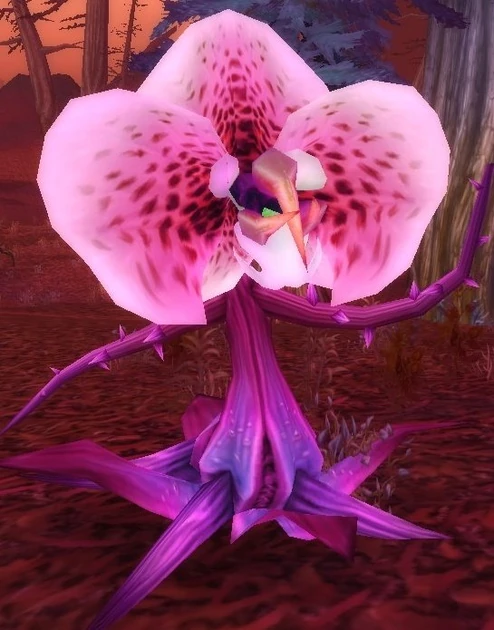 Mutated Tangler - Wowpedia - Your wiki guide to the World of Warcraft